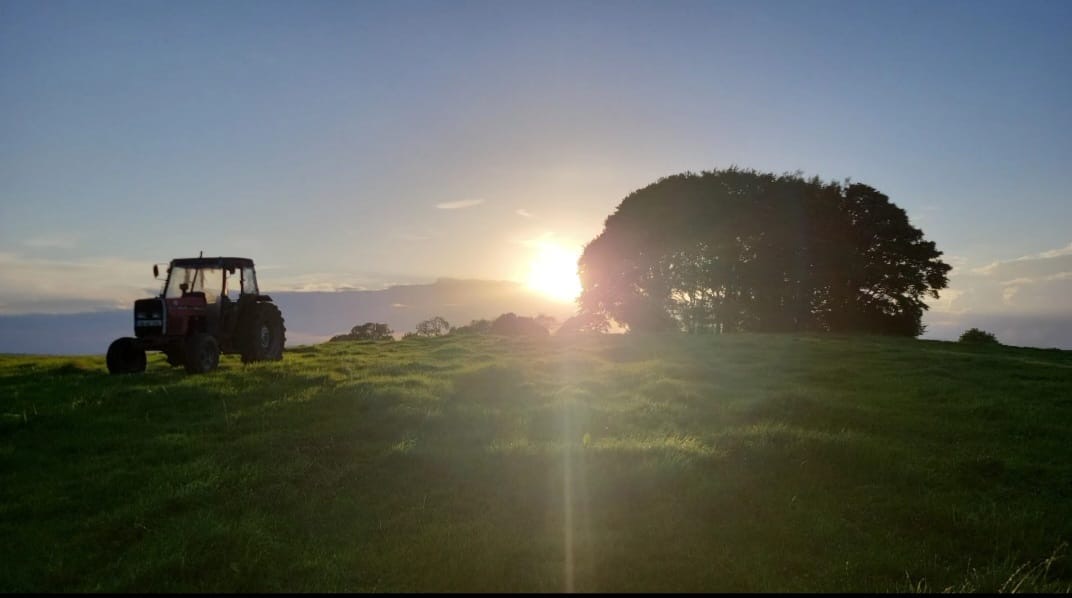 100 years of Mc Enroes farming Liss – Liss Aberdeen Angus | Proven Genetics