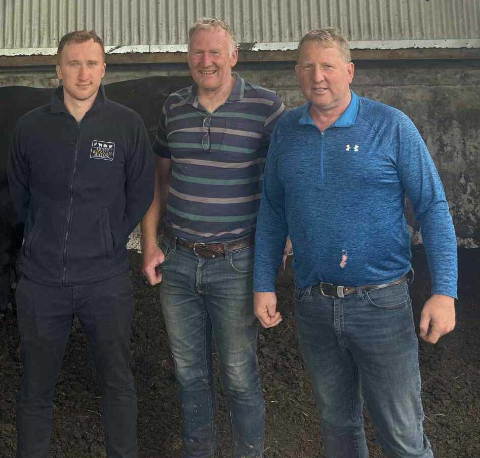 Media – Liss Aberdeen Angus | Proven Genetics